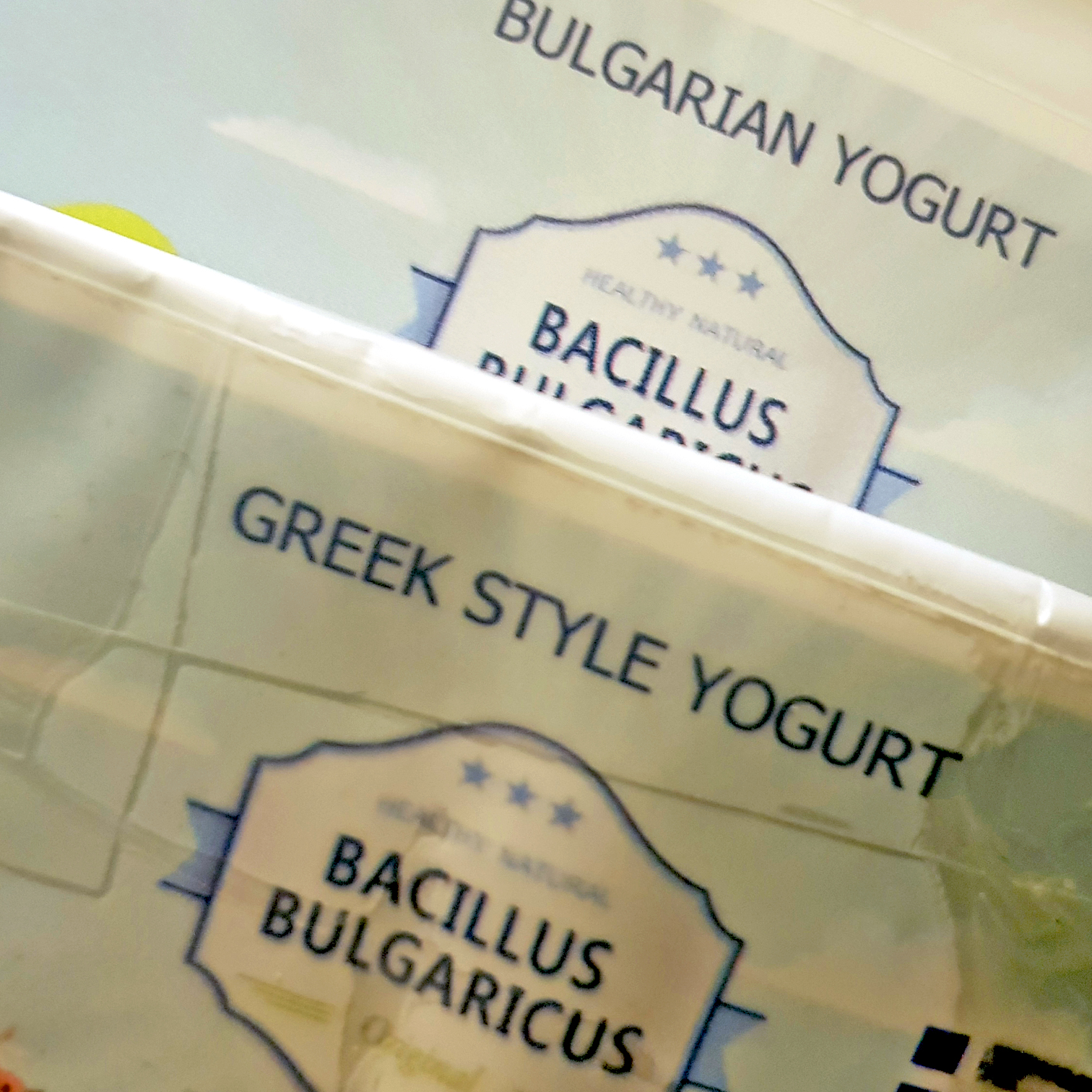 Empfehlung: Heirloom-Joghurt-Starter „Greek Style” von Bacillus ...