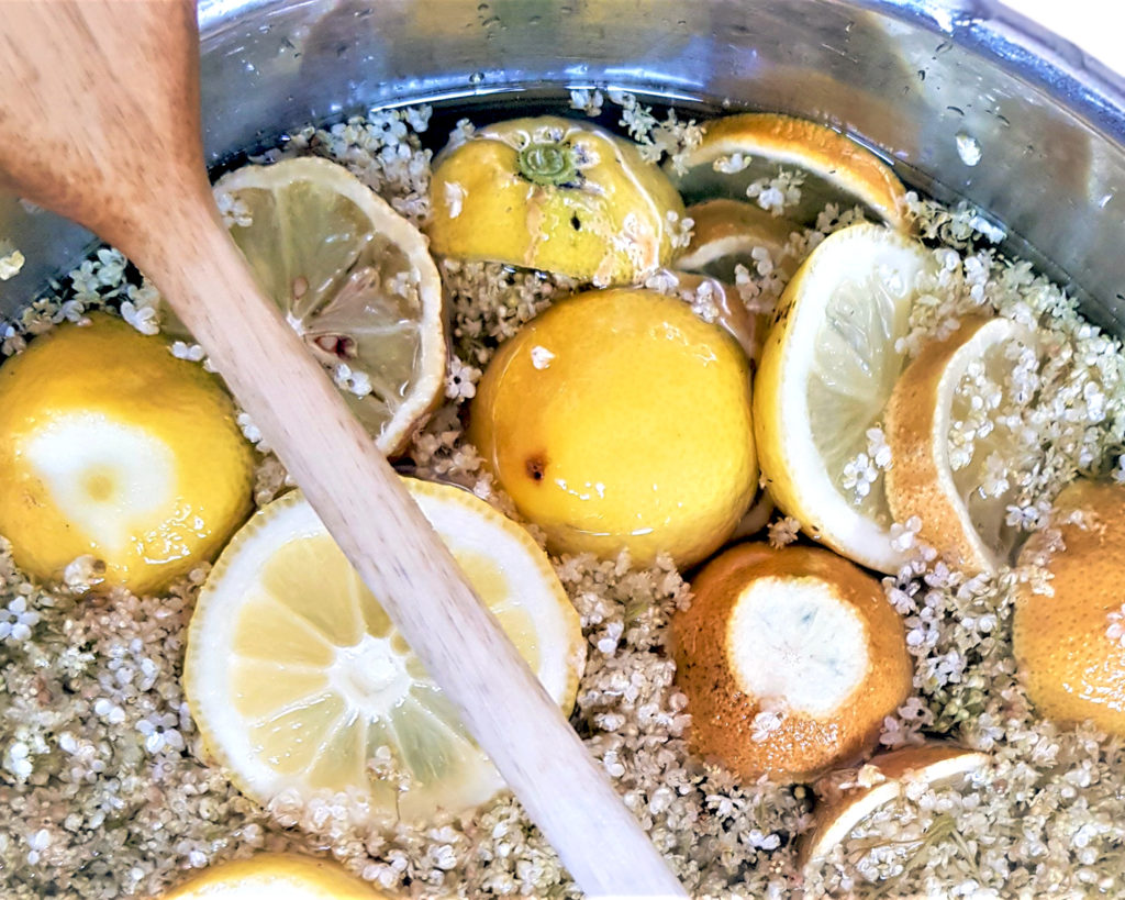 Holundersirup – das Rezept – mybanto.de